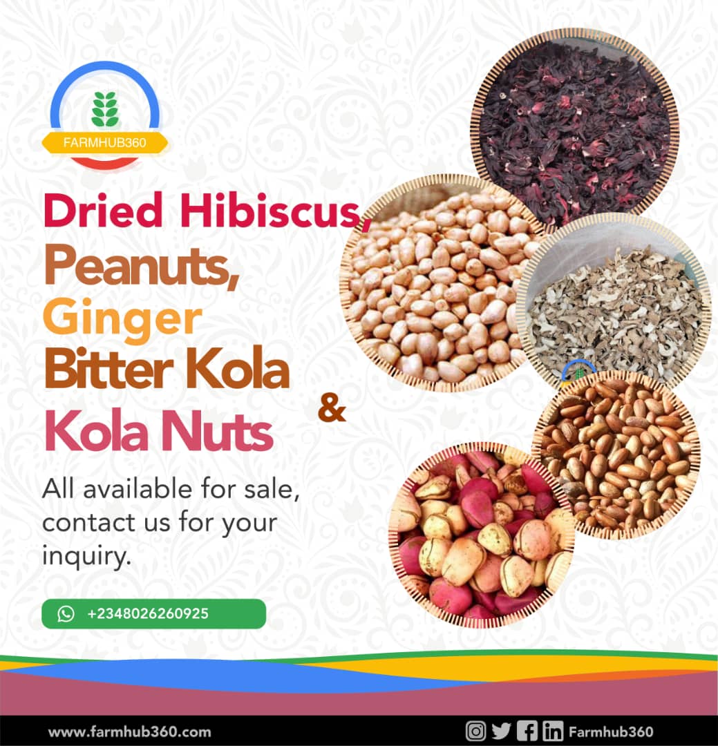 FarmHub360 | Keeping Green Alive | FarmHub360.com